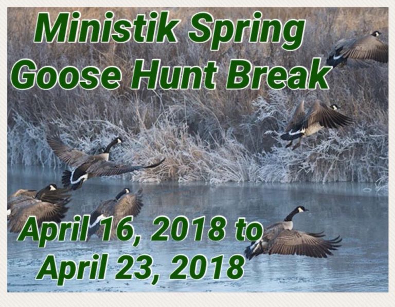 2018 Spring Goose Harvest Break